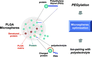 Novel approaches in microparticulate PLGA delivery systems ...