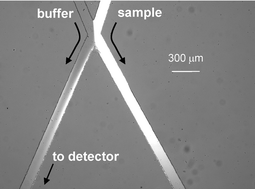 Development of an on-chip injector for microchip-based flow analyses ...