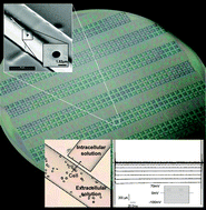 Microfluidic integration of substantially round glass capillaries for ...