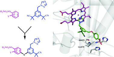 Dual aromatase–sulfatase inhibitors based on the anastrozole template ...