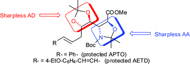 The enantioselective synthesis of APTO and AETD: polyhydroxylated β ...