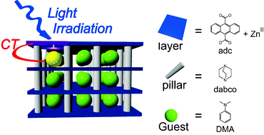 Anthracene array-type porous coordination polymer with host–guest ...