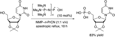 Bulky phosphazenium cation catalysis for dehydrative condensation of ...