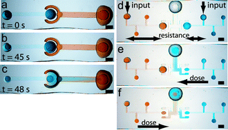 Microfluidic logic gates and timers - Lab on a Chip (RSC Publishing)