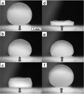 Determining the mechanical response of particle-laden fluid interfaces ...