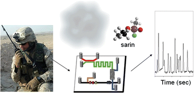 Chemical and biological threat-agent detection using electrophoresis ...