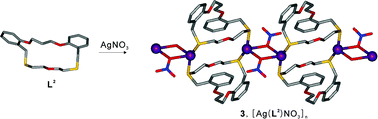 Exo-coordinated discrete and continuous supramolecular silver(i ...