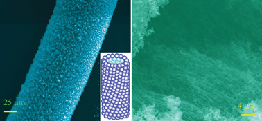 Graphite-like carbon-encapsulated iron nanoparticle self-assembly into ...