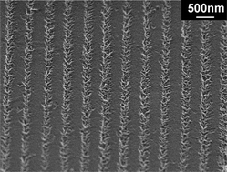 Aminopropyltriethoxysilane (APTES)-functionalized nanoporous polymeric ...