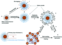 Nanocrystal-micelle: synthesis, self-assembly and application ...