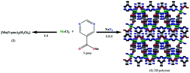 Dual role of azide in the formation of a 3D coordination polymer ...