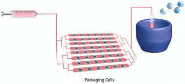 A microfluidic bioreactor for increased active retrovirus output - Lab ...