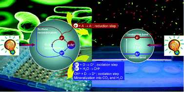 Numeration methods for targeting photoactive materials in the UV-A ...