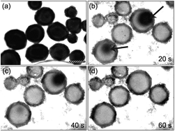 The effect of double-chain surfactants on armored bubbles: a surfactant ...