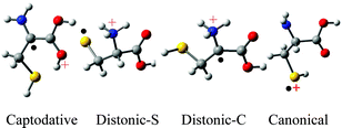 The cysteine radical cation: structures and fragmentation pathways ...