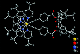 The first example of a Pt⋯Pt interaction in platinum(ii) complexes ...