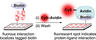 Fluorous tagged small molecule microarrays - Chemical Communications ...