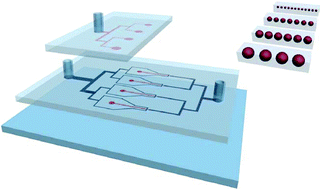 Simultaneous generation of droplets with different dimensions in ...