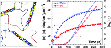 Helix–coil transition of gelatin: helical morphology and stability ...