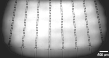 Microfluidic large-scale integration on a chip for mass production of ...