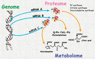 Metallomics: the concept and methodology - Chemical Society Reviews ...