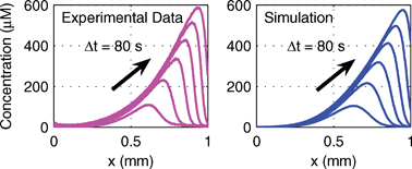 Finite sample effect in temperature gradient focusing - Lab on a Chip ...