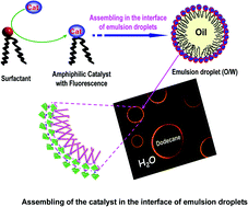 A direct imaging of amphiphilic catalysts assembled at the interface of ...
