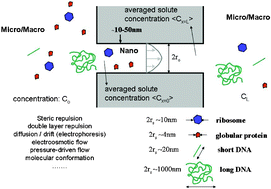 Molecular sieving using nanofilters: Past, present and future - Lab on ...