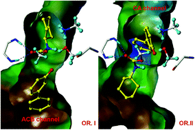 Identification of productive inhibitor binding orientation in fatty ...