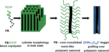 Core-crosslinked block copolymer nanorods as templates for grafting ...