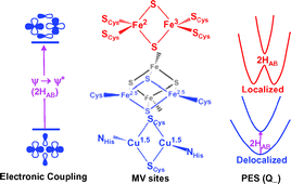 Mixed valent sites in biological electron transfer - Chemical Society ...