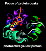 Stress tensor analysis of the protein quake of photoactive yellow ...