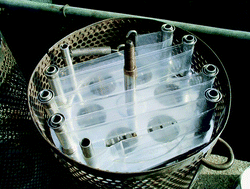 Uptake of some selected aquatic pollutants in semipermeable membrane ...