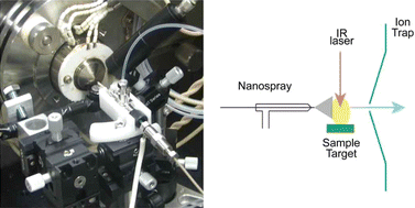 Infrared laser-assisted desorption electrospray ionization mass ...