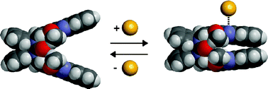 Modulation and binding properties of extended glycoluril molecular ...