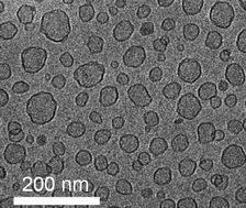 Alternating polymer vesicles - Soft Matter (RSC Publishing)