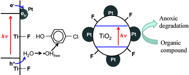 Synergic effect of simultaneous fluorination and platinization of TiO2 ...