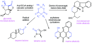 Meldrum’s acid and related compounds in the synthesis of natural ...