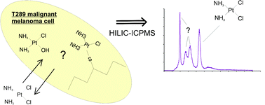 Hydrophilic interaction liquid chromatography (HILIC) coupled to ...