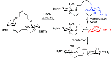 Synthetic and structural studies on macrocyclic amino cyclitols ...