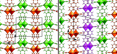 Polytypism, homochirality, interpenetration, and hydrogen-bonding in ...