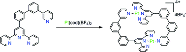Synthesis, characterization and molecular recognition of a bis-platinum ...