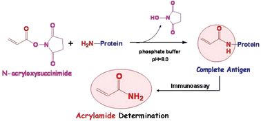 Antigen synthetic strategy and immunoassay development for detection of ...
