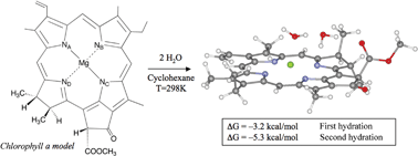The structure of chlorophyll a–water complexes: insights from quantum ...