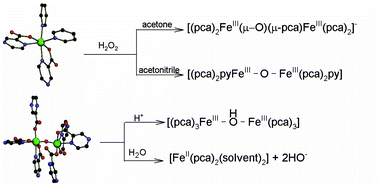 Mechanistic implications of the active species involved in the ...