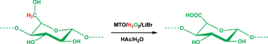 Super absorbers from renewable feedstock by catalytic oxidation - Green ...