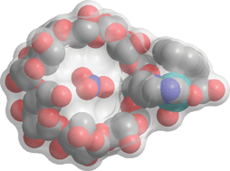 Selectively functionalized cyclodextrins and their metal complexes ...