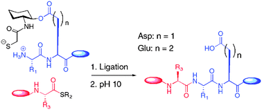 Peptide ligation via side-chain auxiliary - Chemical Communications ...