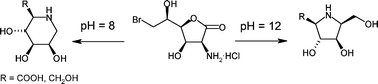Regioselective intramolecular ring closure of 2-amino-6-bromo-2,6 ...
