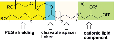 Acid cleavable PEG-lipids for applications in a ternary gene delivery ...